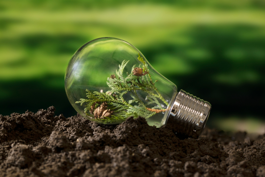 Energy From Biological Sources - IELTS Reading Practice Tests - Moore.vn